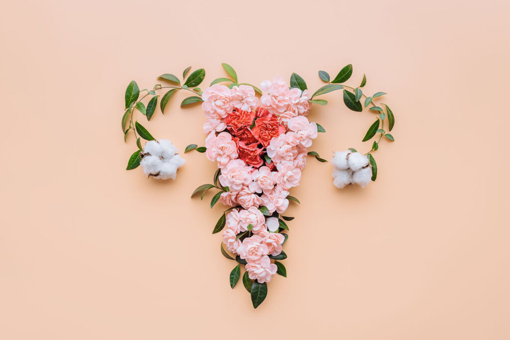 cosmetic-gynae-1024x683.jpg